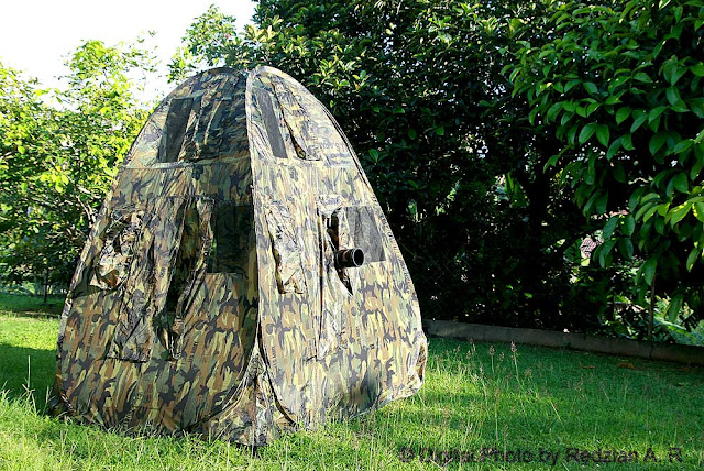 Birds and Nature Photography @ Raub: Camouflage Tower Hide - Bird ...