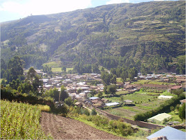 PLAN DE DESARROLLLO TURISTICO DE CHECACUPE: Arbol de Causas y efectos