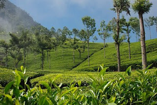 Moving Clouds Designer Tours: Chills, Thrills & Hills - Trekking the ...