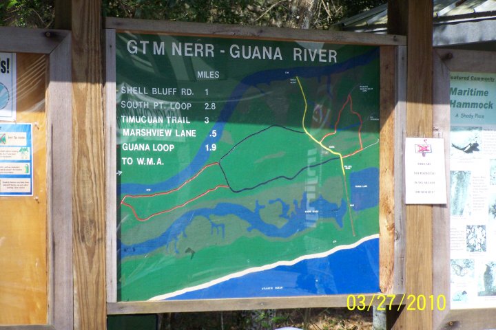 Linda's marathon training: Guana River 50K