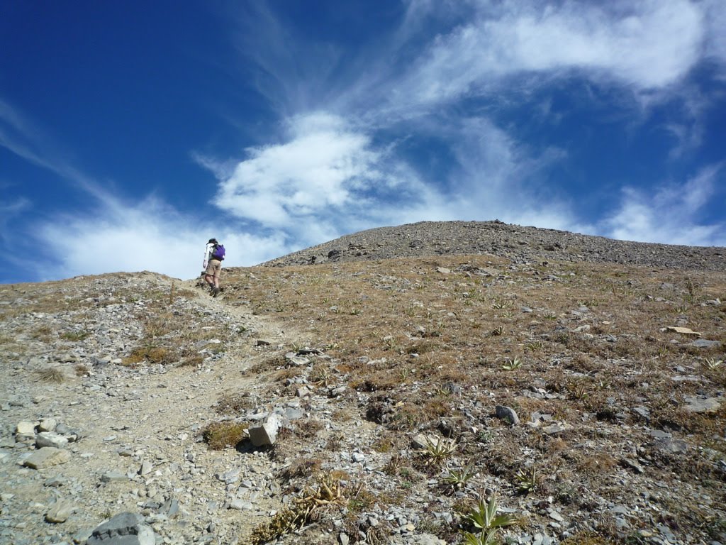 Knapp Sacks by Buck Products