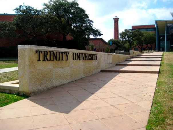Trinity Tiger Swimming