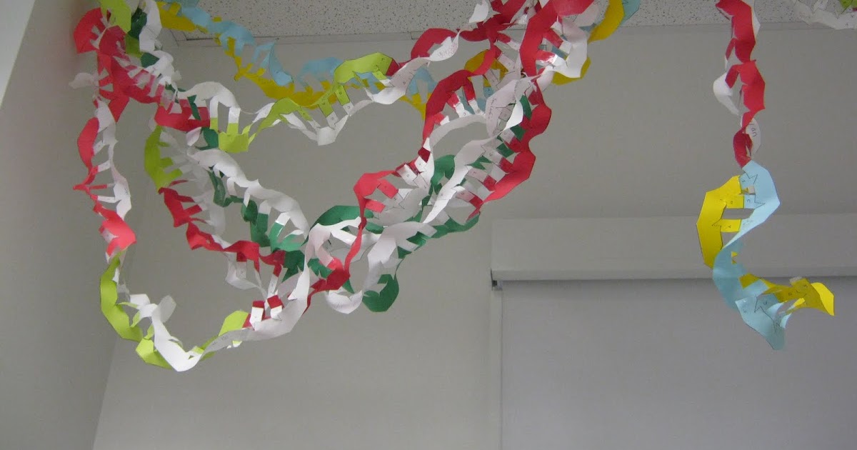 Science Tutor: Paper Model of DNA - 2009-2010