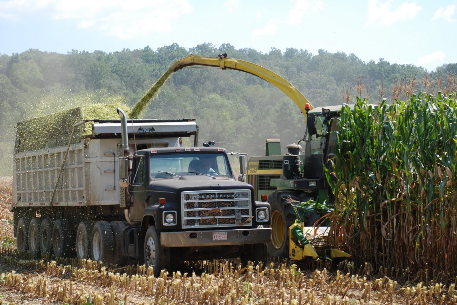 2010 WNC Corn Silage Summary