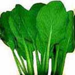 Bloggerang Pinay: Kumusta, mustasa?