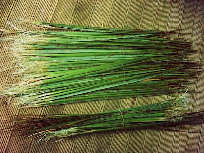 goosepark: flax blog