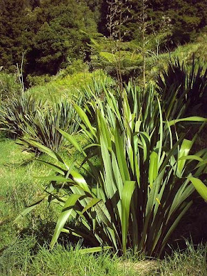 goosepark: flax blog