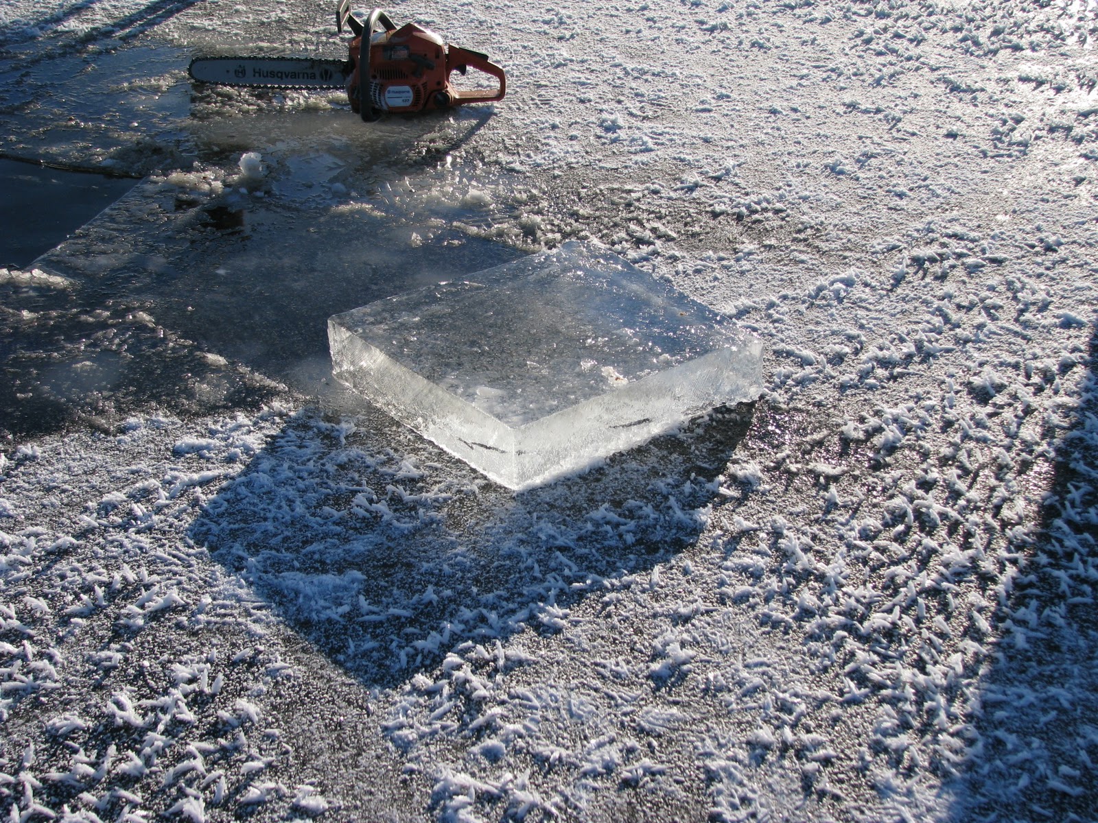 CALNI - Standing up to 'The Man'!