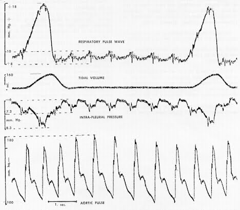 Human Cardiac and Respiratory Systems: Mechanisms For Regulating ...