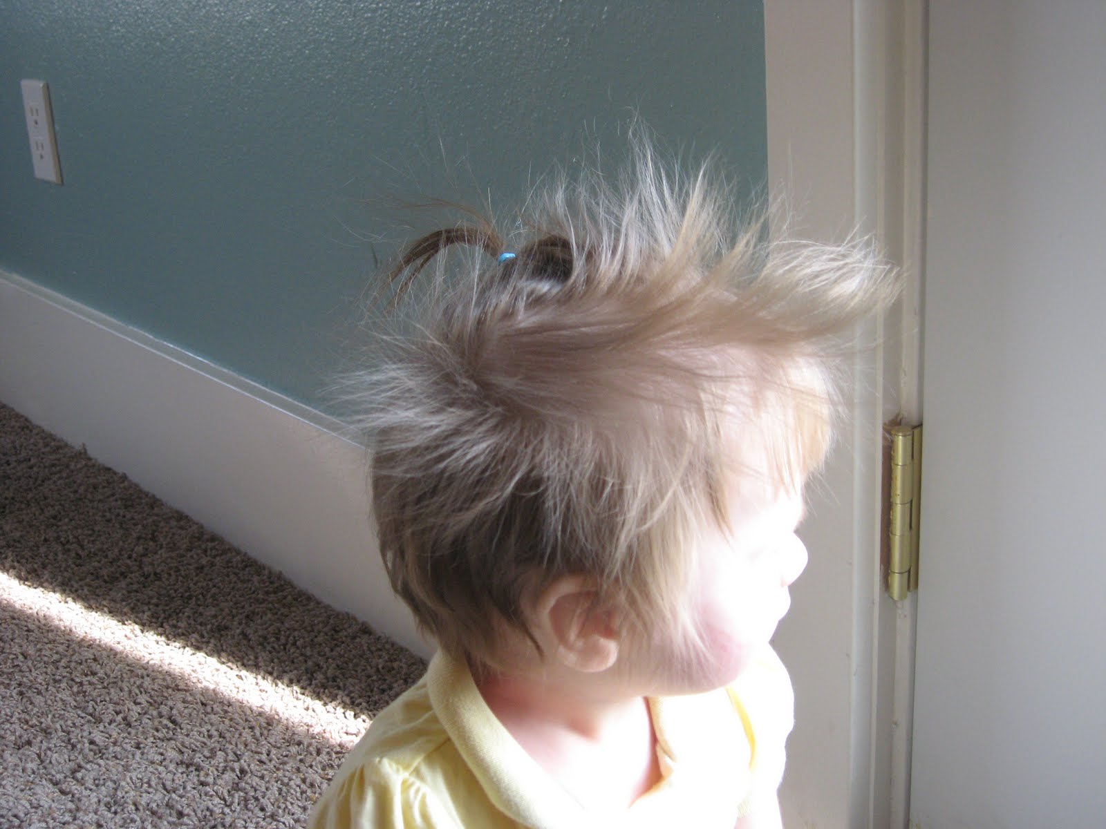 Life In the Northwoods: Hair Explosion II