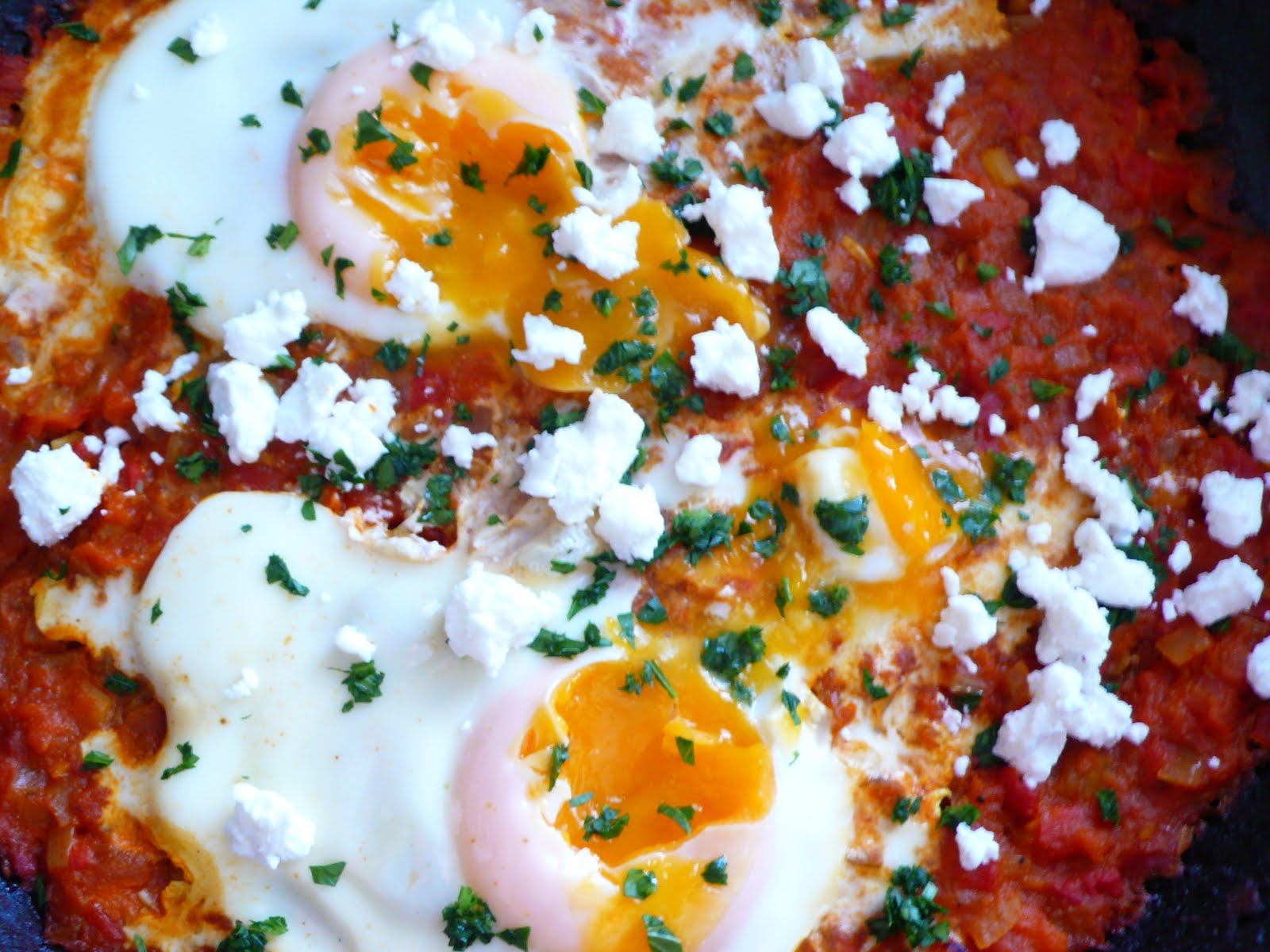 Food Endeavours of the Blue Apocalypse: Shak Shuka