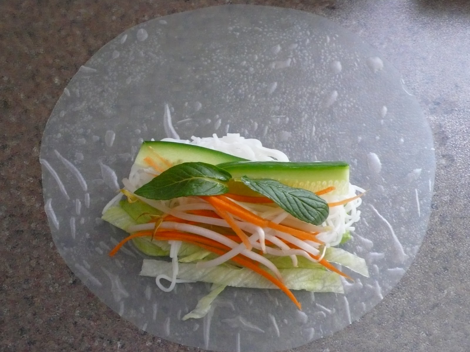 Food Endeavours of the Blue Apocalypse: Vietnamese Rice Paper Rolls