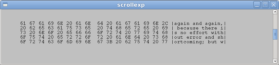 Universal Decompiler