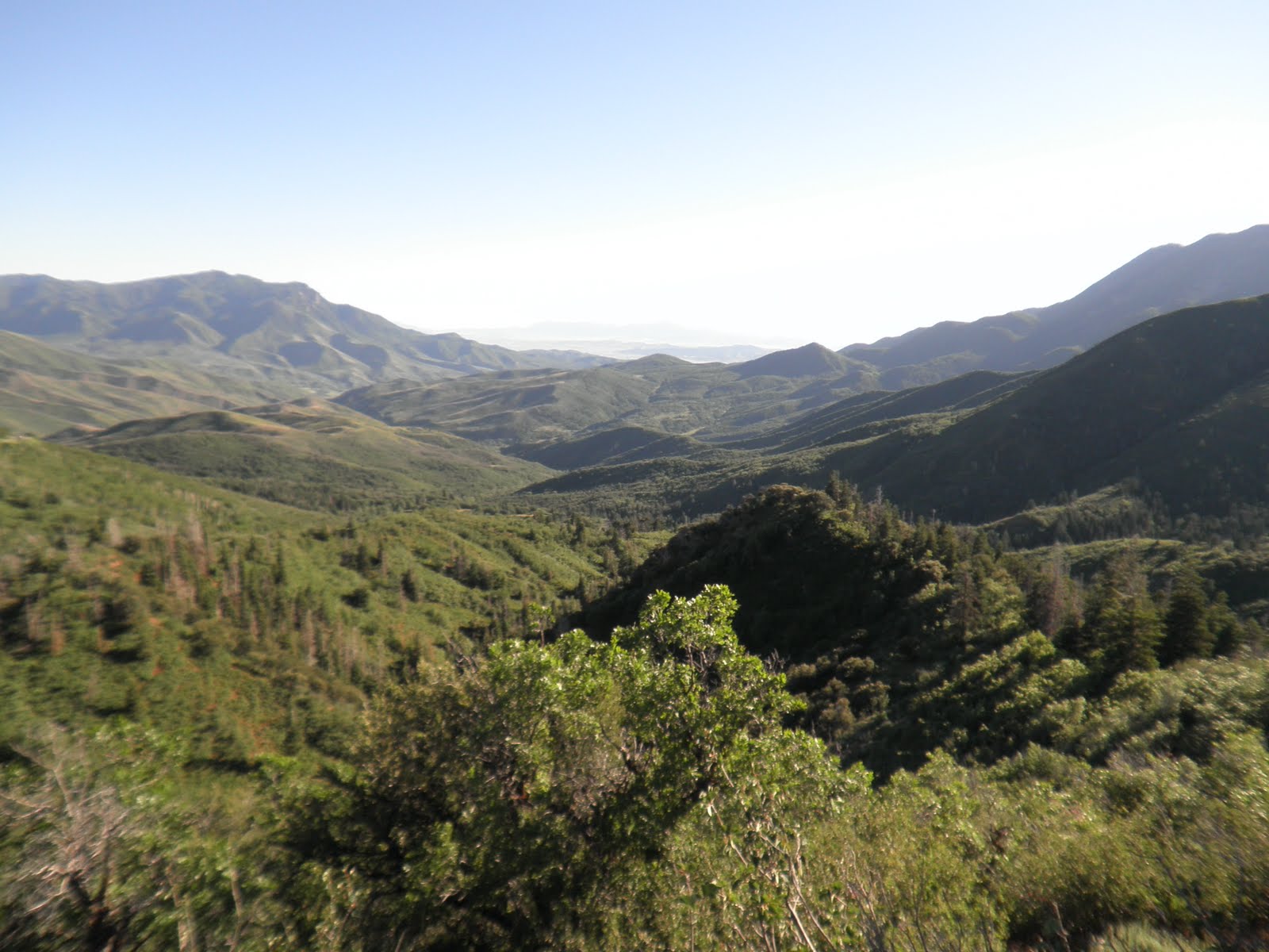 Tegwen's spot: Mt. Nebo Loop