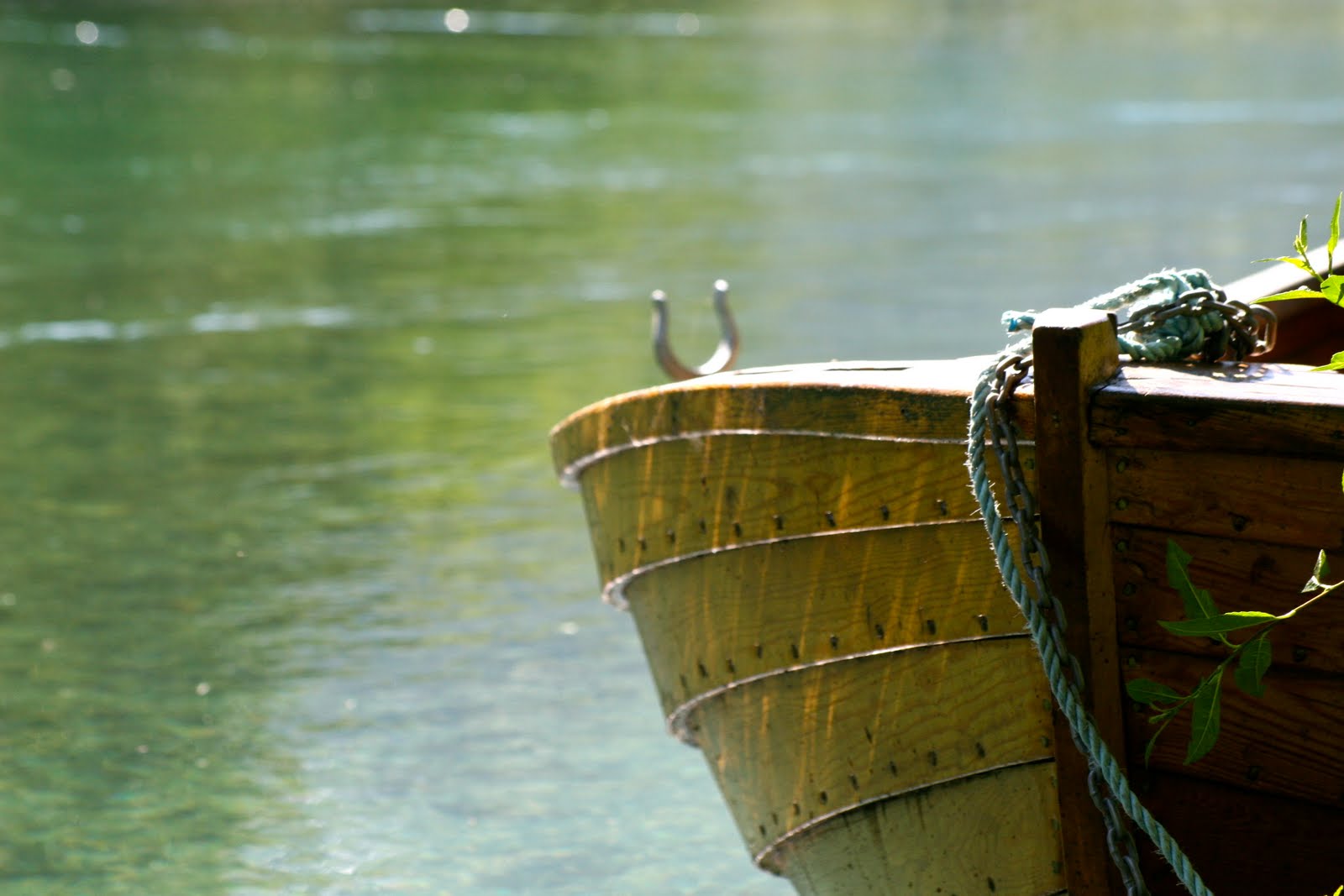 Using a writing prompt - Icy Sedgwick