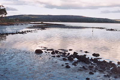 A WineDark Sea: Fish Traps, Oyster Harbour, Abany