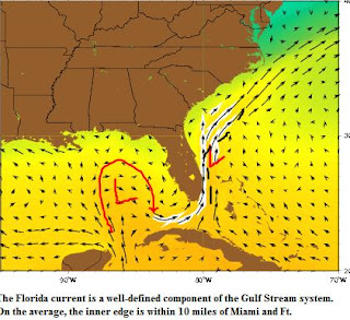Sky Sanctums: The Florida Current and Loop Current Affecting Florida ...