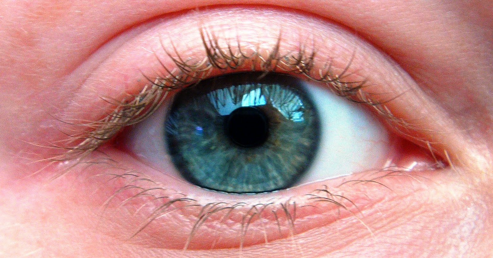 All about nails: Comparison: Essence mascaras: ALL EYES ON ME & STAYS ...