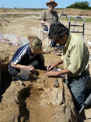EXTRAORDINARIO HALLAZGO EN GRAL. MADARIAGA - Sería el Esqueleto de un ...