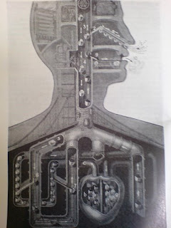 Ian Balin's Anthropology of Healing Class Website