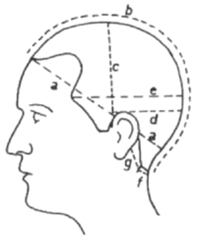 AMIGOS PARA SIEMPRE: ANATOMÍA HUMANA