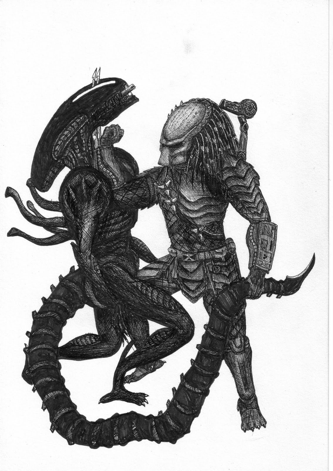 wing production: PREDATOR GRAPHIC SERIES