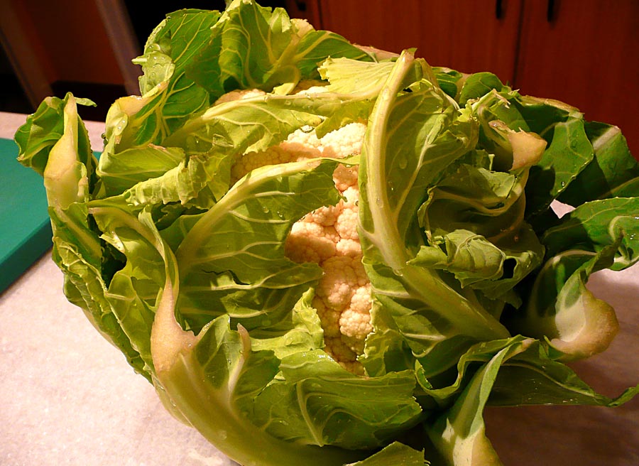 Living the life in Saint-Aignan: Choux-fleurs et feuilles de choux-fleurs