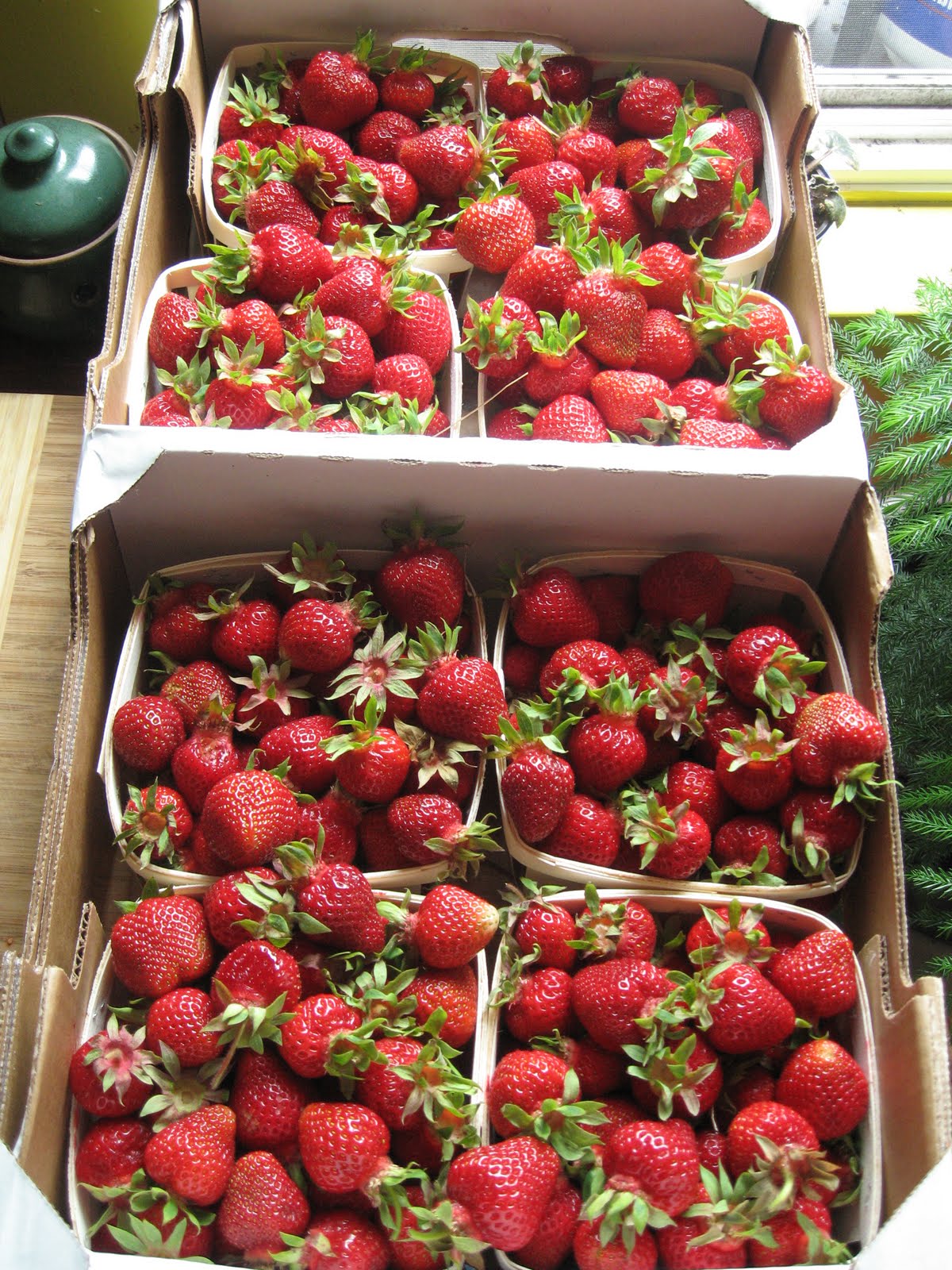 Ocean Treasures: Strawberry Mania and the BEST Strawberry Pie EVER!