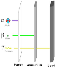Mr. Morrell: Team 6-2 Science, Reading, and Language Arts