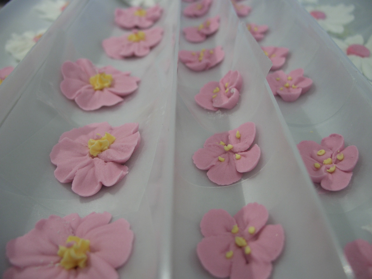 Design Bake Share: More Practice - More Royal Icing Flowers