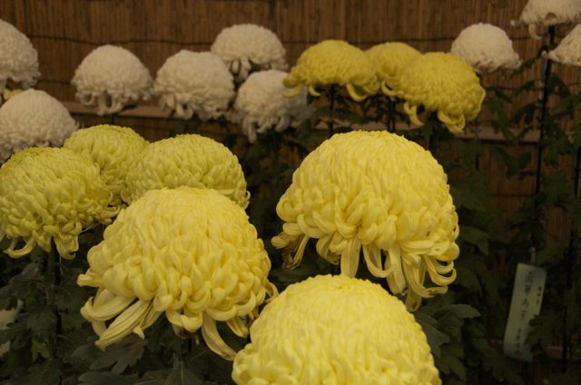 Aimee and Kara Fall 2009 Voyage