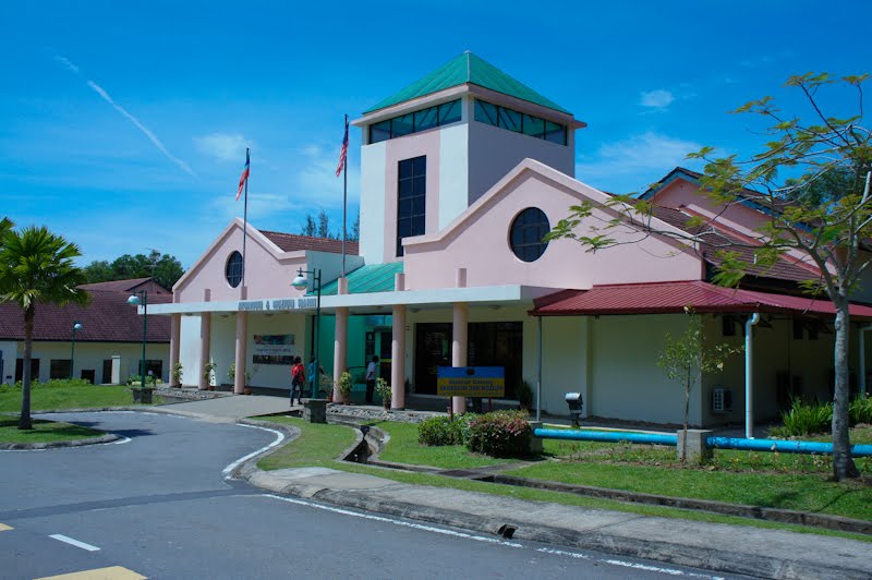 What did you see today?: Universiti Malaysia Sabah (UMS) Aquarium and ...