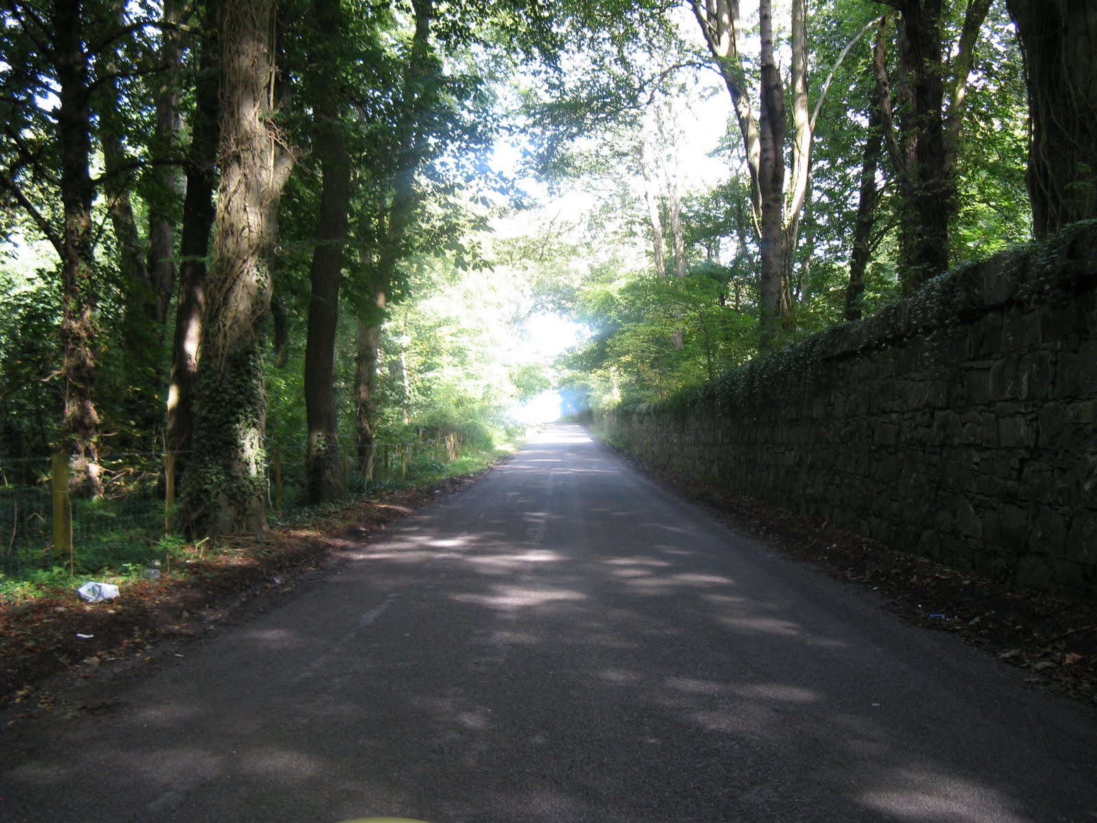 Gorrie's adventures: Exploring in Northern Ireland