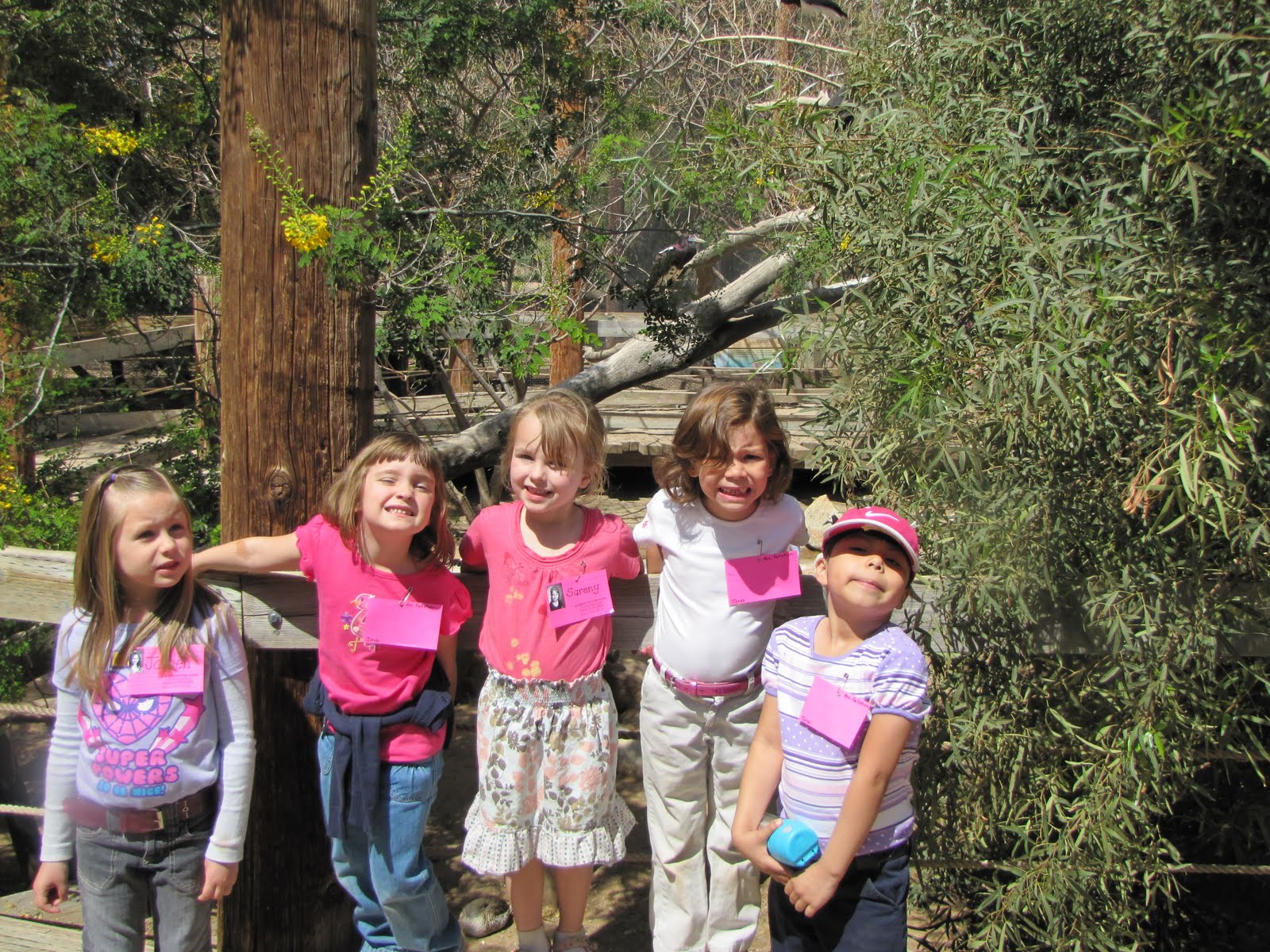 Fallstrom Family: Kindergarten Field Trip