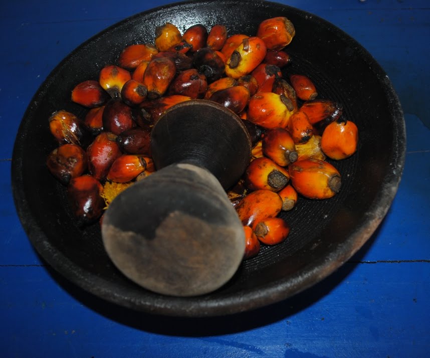 Lenigirly: Batana Oil & Shampoo from Honduras for Long Shiny Hair!!!