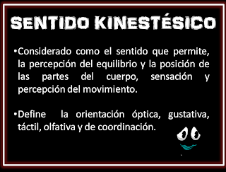 MEMORIA PENSAMIENTO Y LENGUAJE: EXPOSICION SENTIDO KINESTESICO