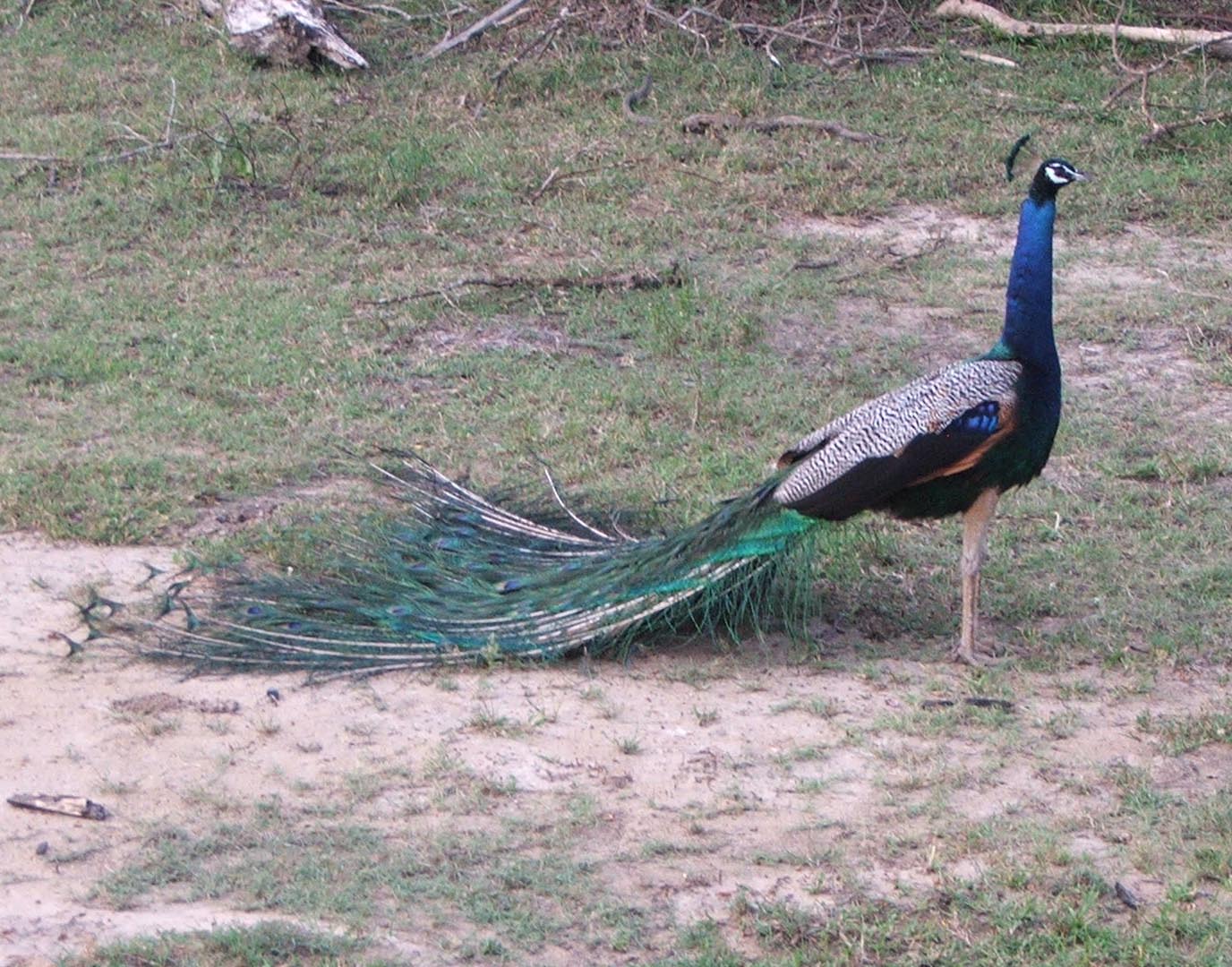 The Bagsy Blog: 06/27/10