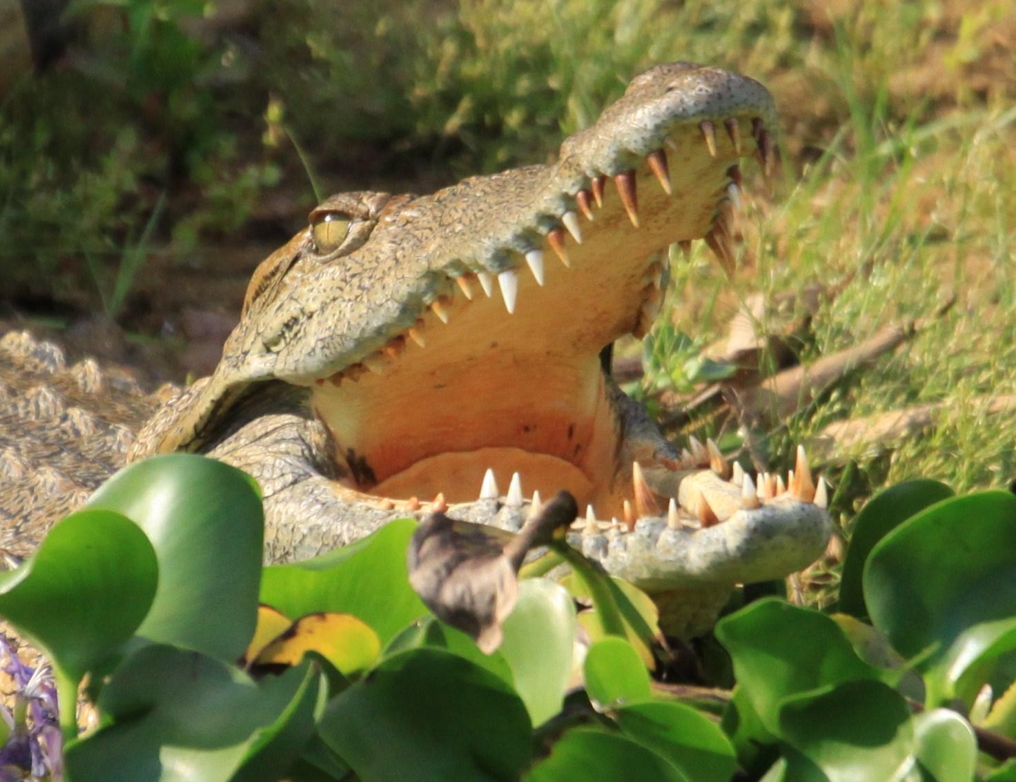 The Bagsy Blog: 11/07/10