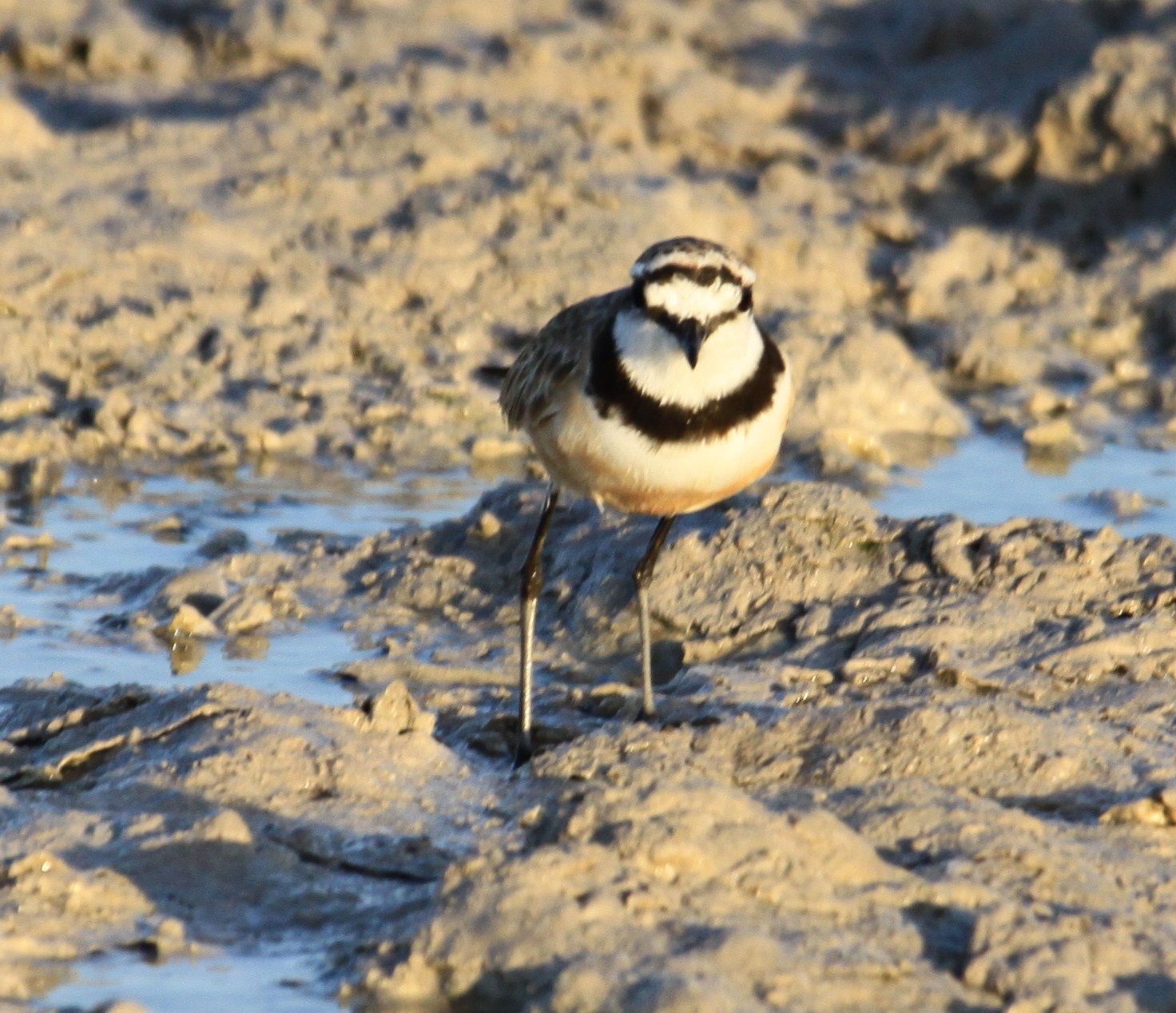 The Bagsy Blog: 12/01/10