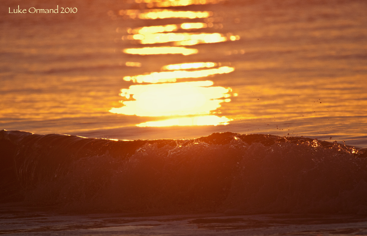 Wild Long Island Photography Blog: Sun is Rising