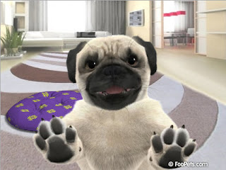 ECTmmo.com- MMO Blog: The Adventures of Kaozz...: Foo Pets