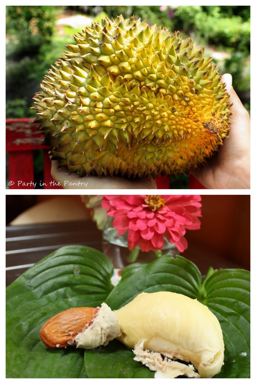 Party in the Pantry!: It's a Funky Fruit Tasting Party!!!