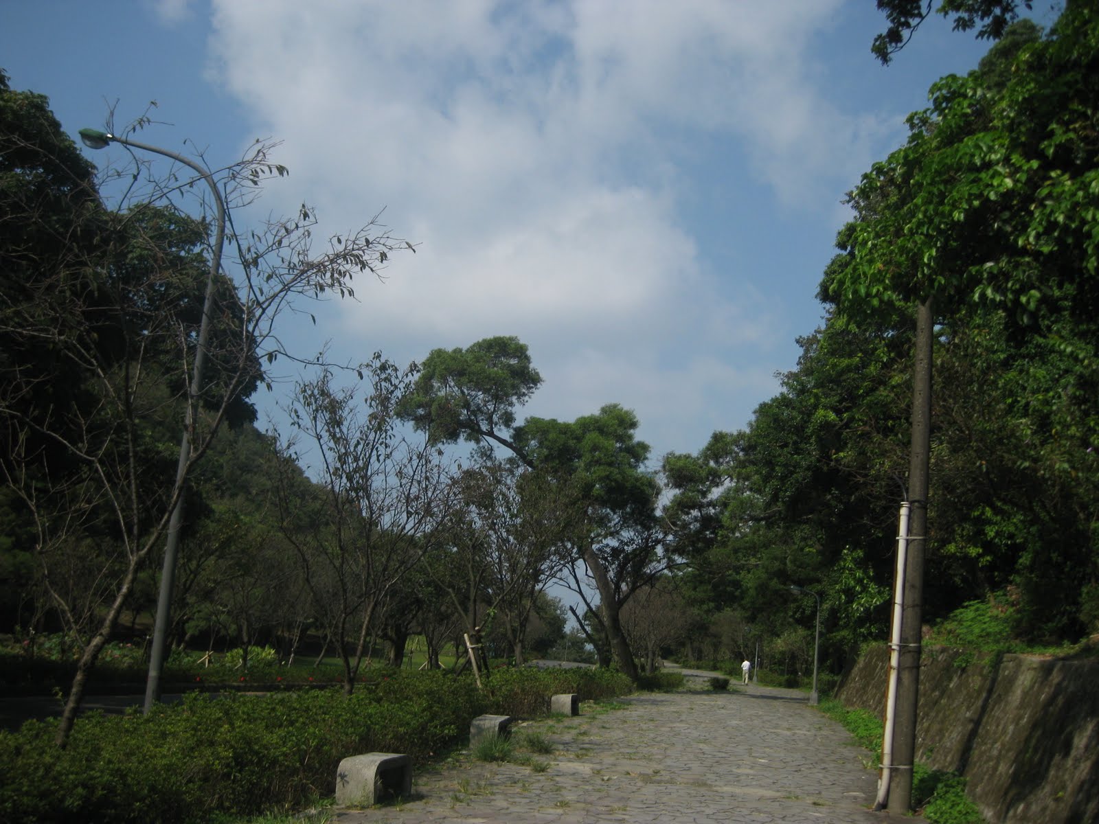 Yang Ming Shan 阳明山 | Travel To A GREEN Island
