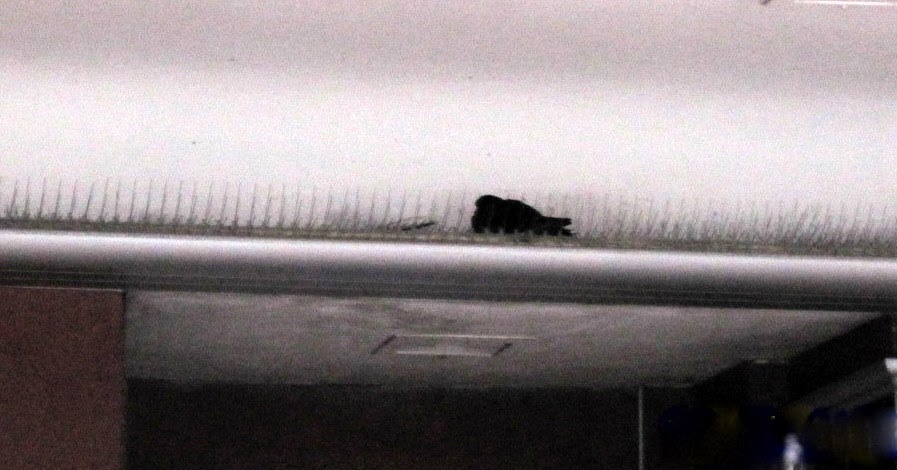 SOUL SIGHTING: Turnabout Is Fair Play