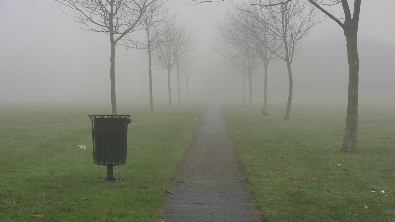 Sabina's Horror Trailer: Filming fog scene