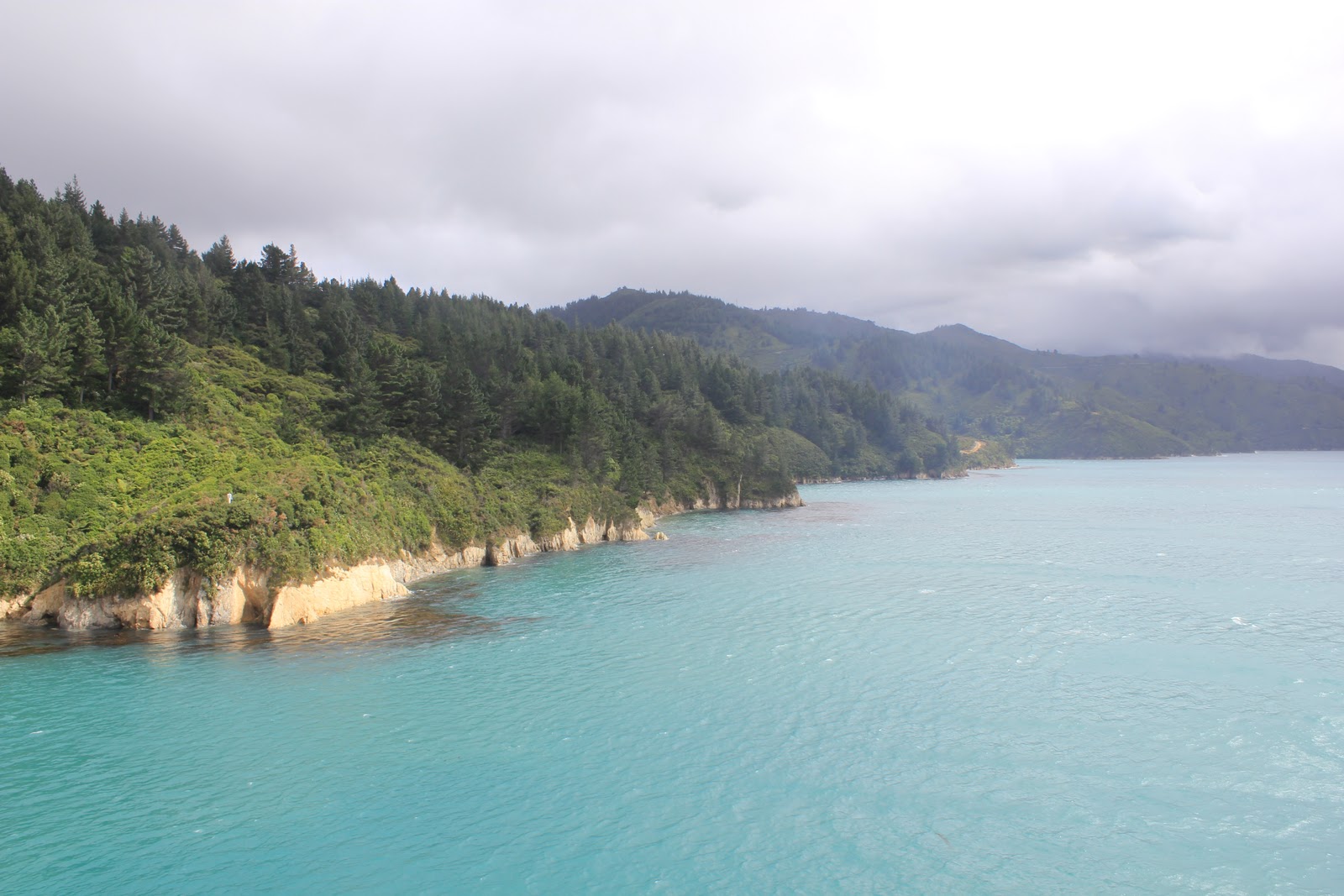 Australia: DE WELLINGTON A PICTON (ISLA DEL SUR)