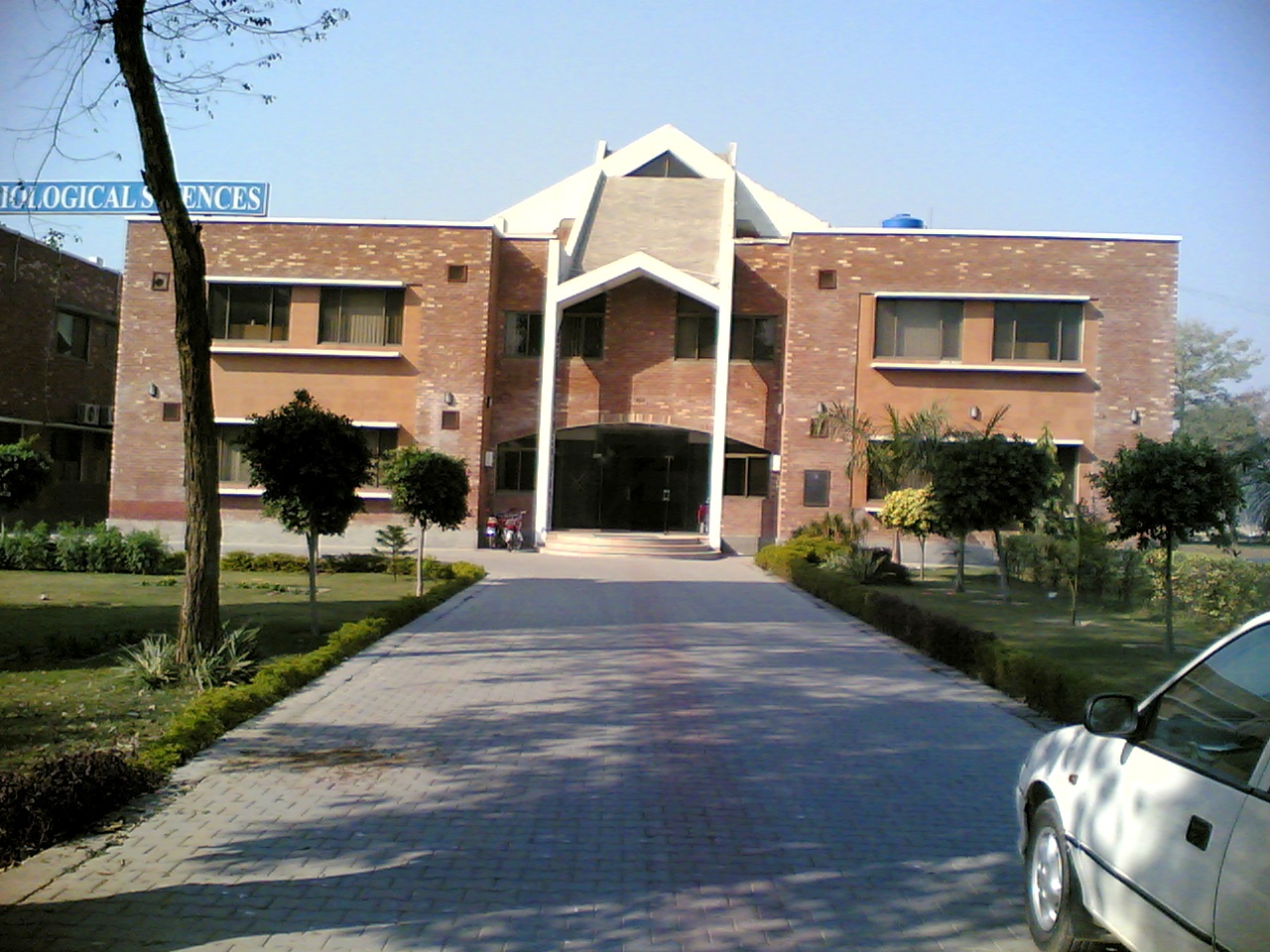 Punjab University, Lahore: School of Biological Sciences