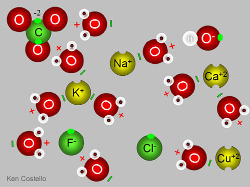 Shaan Science Academy: Ions and salts