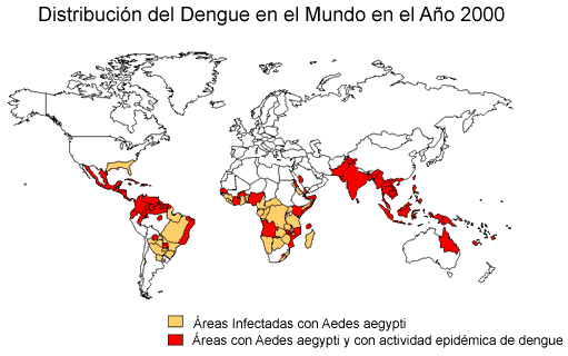 Lima: 26 distritos en riesgo por el dengue. ¿Qué es el dengue ...