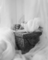 Traci Grubbs' blog